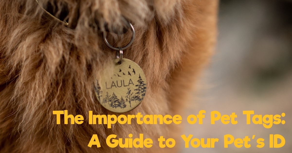 A Guide to Your Pet's ID: Understanding the Significance of Pet Tags.